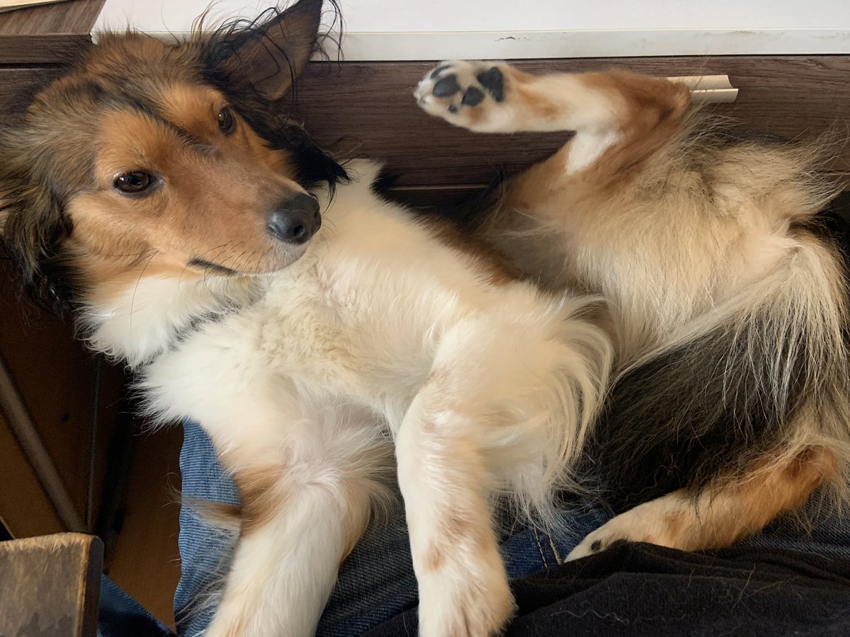 「I don't know what this pose is..... 」|Christian Alvarezのイラスト