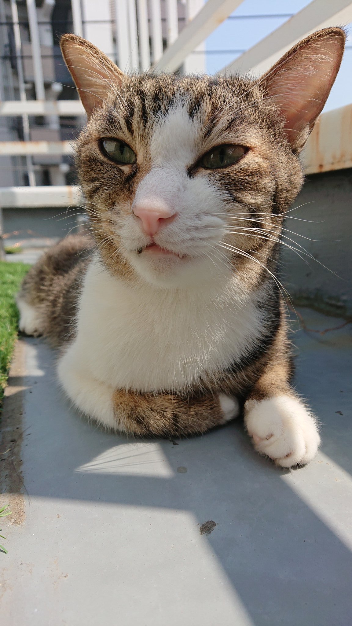 本田みずほ / Em Zed Eych🕯デザフェス55 J351-352ブース on Twitter: "@kunisakiemi 落ち着いたら遊び行かせてー！" / Twitter