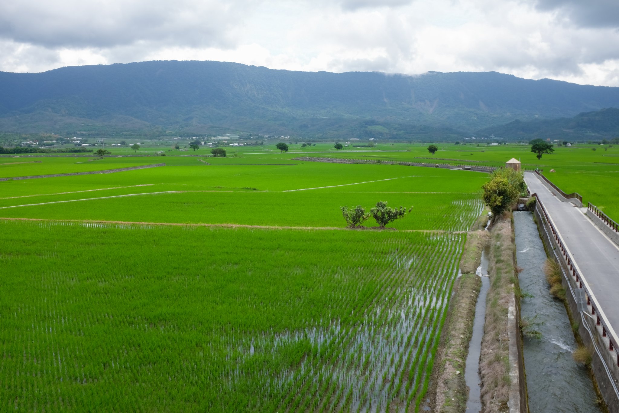Sam Taiwan on Twitter: "#ThisAttackComeFromTaiwan I've been attacked a ...