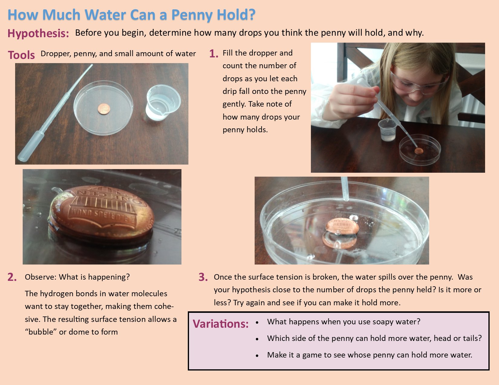 Surface Tension Of Water On A Penny