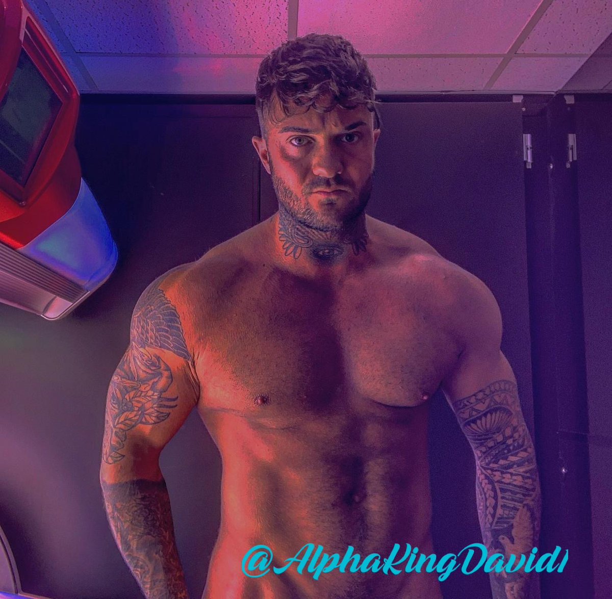 Alpha Master David Alphakingdavid1 Twitter