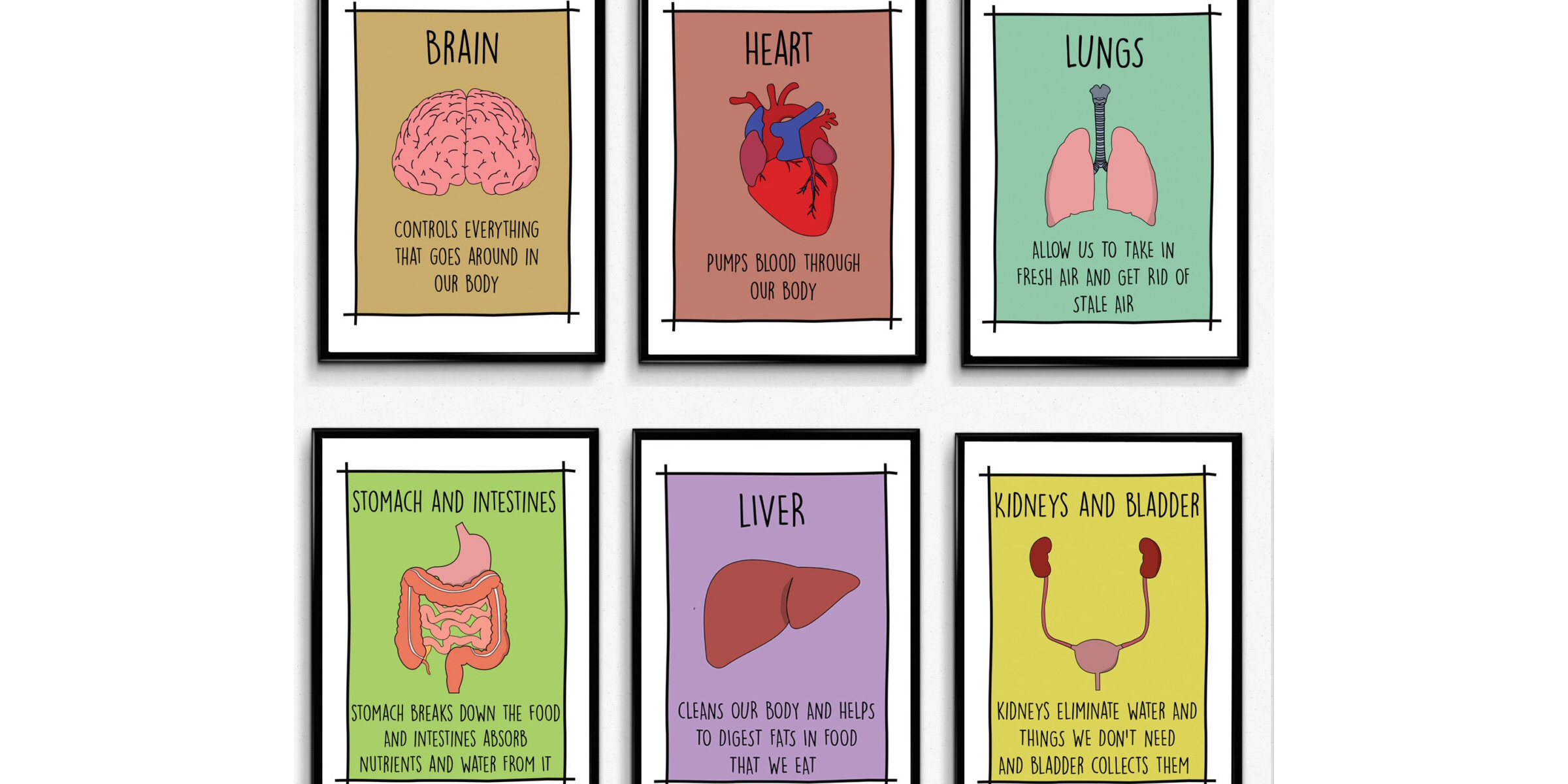 Biology Classroom Posters