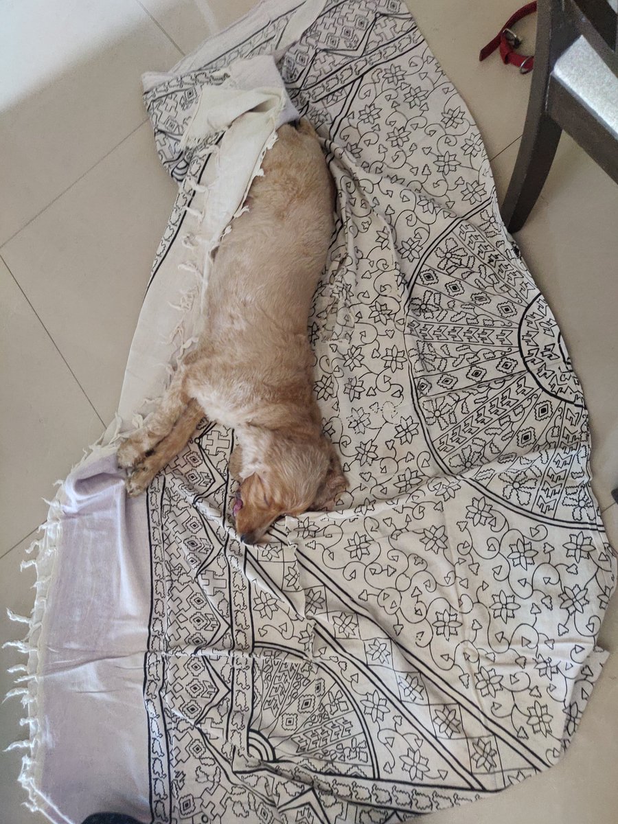 Ankit Devda (@AnikitDevda) | Twitter