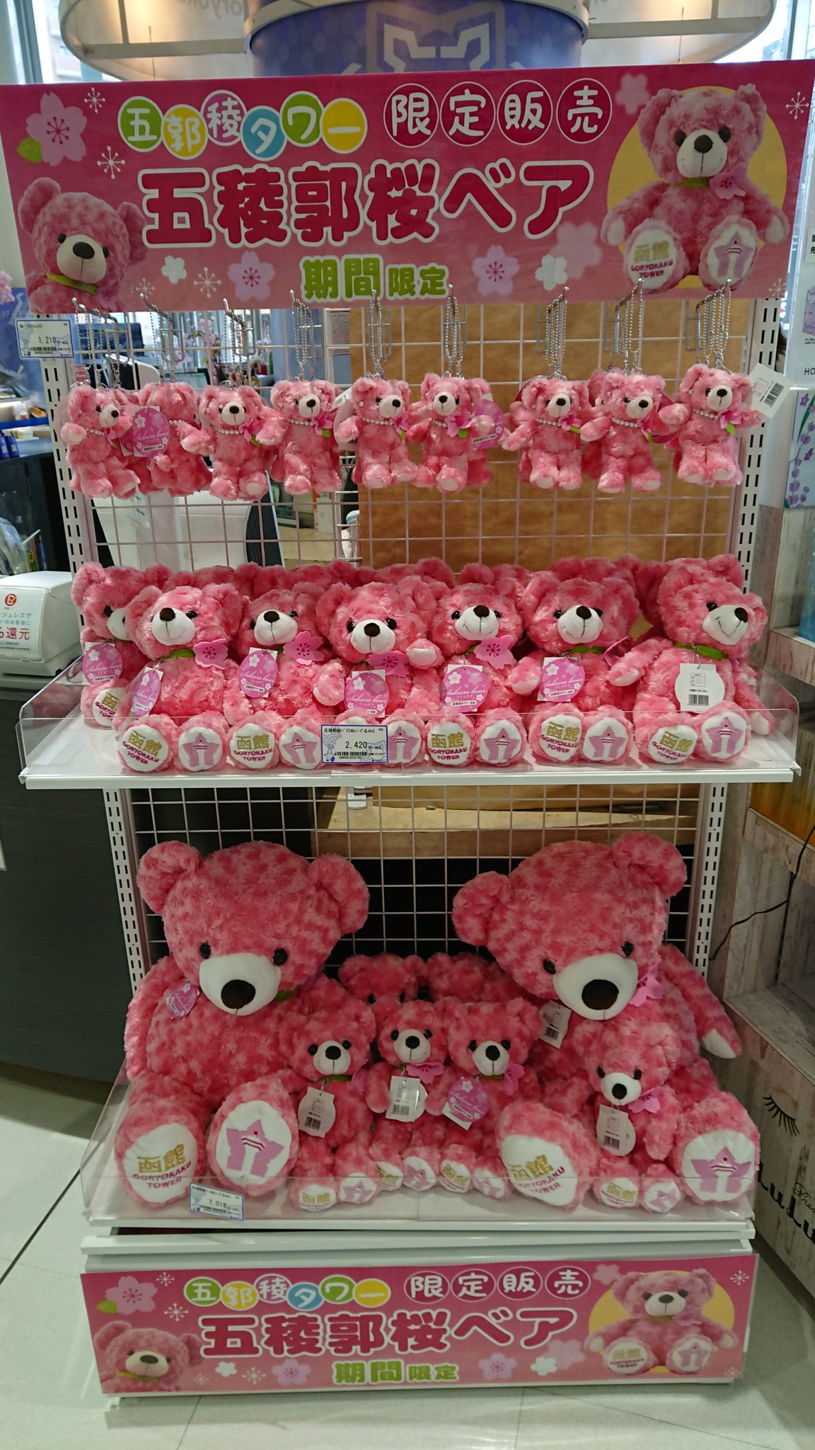 五稜郭タワー販売部【公式】 в X: „🌸桜ベア🌸 五稜郭タワー通信 五稜郭タワー販売部【公式】 в X: „🌸桜ベア🌸 五稜郭タワー通信