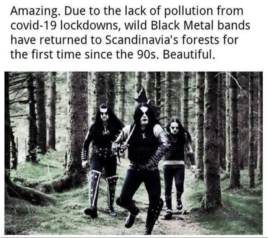 Black Metal Bands