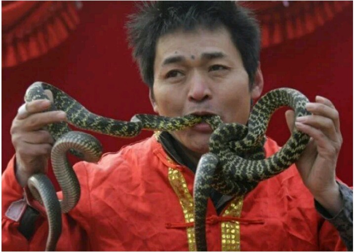 Man Eating Snake