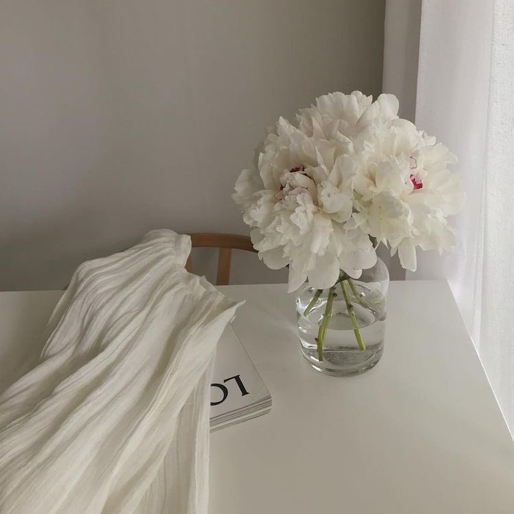 ธร (@thornzx) | Twitter