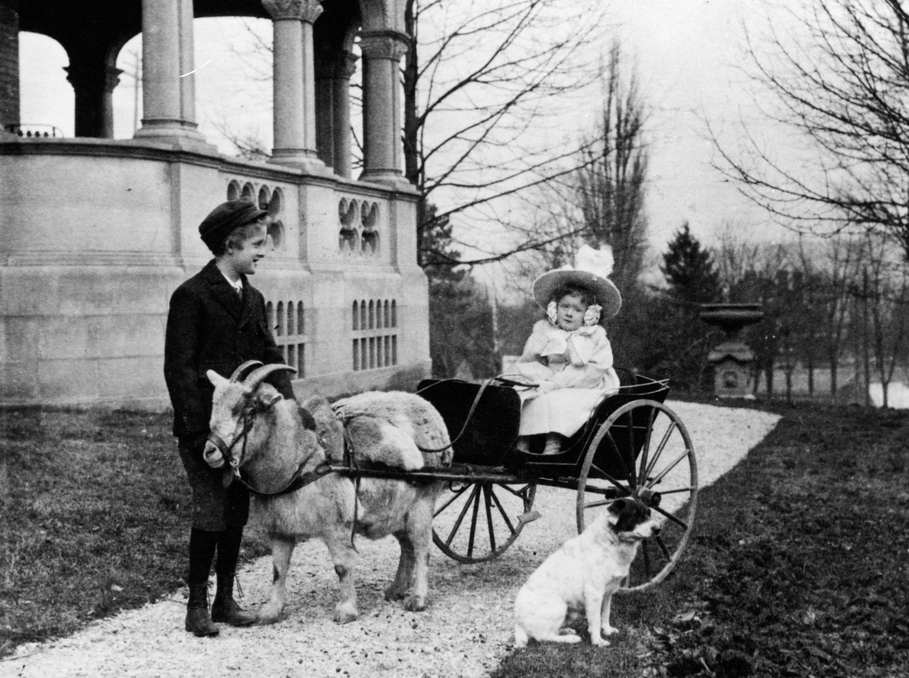 Henry Clay Frick Family Tree Gift Giving In Henry Clay Frick's Family