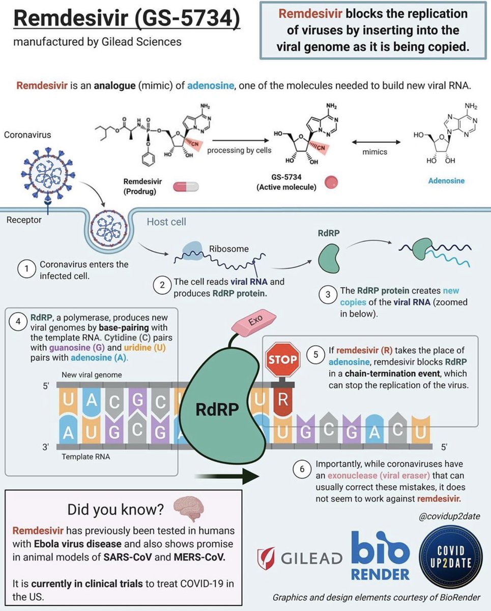 Gilead reports Remdesivir drug working