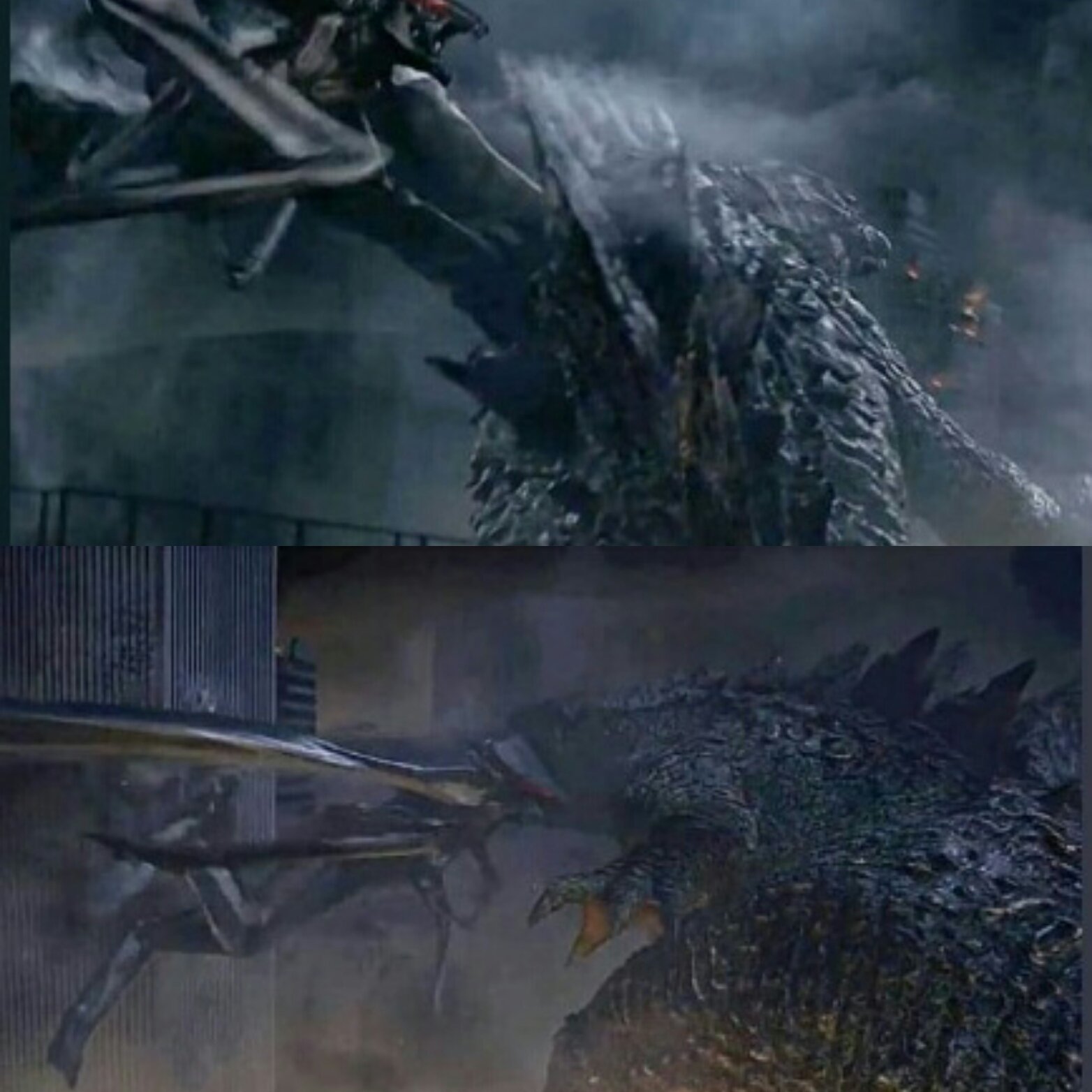 Godzilla Vs Winged Muto