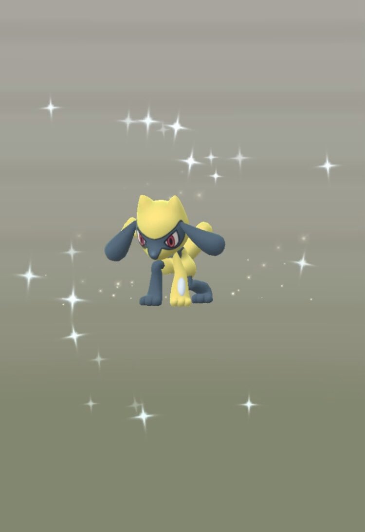 Shiny Riolu Egg