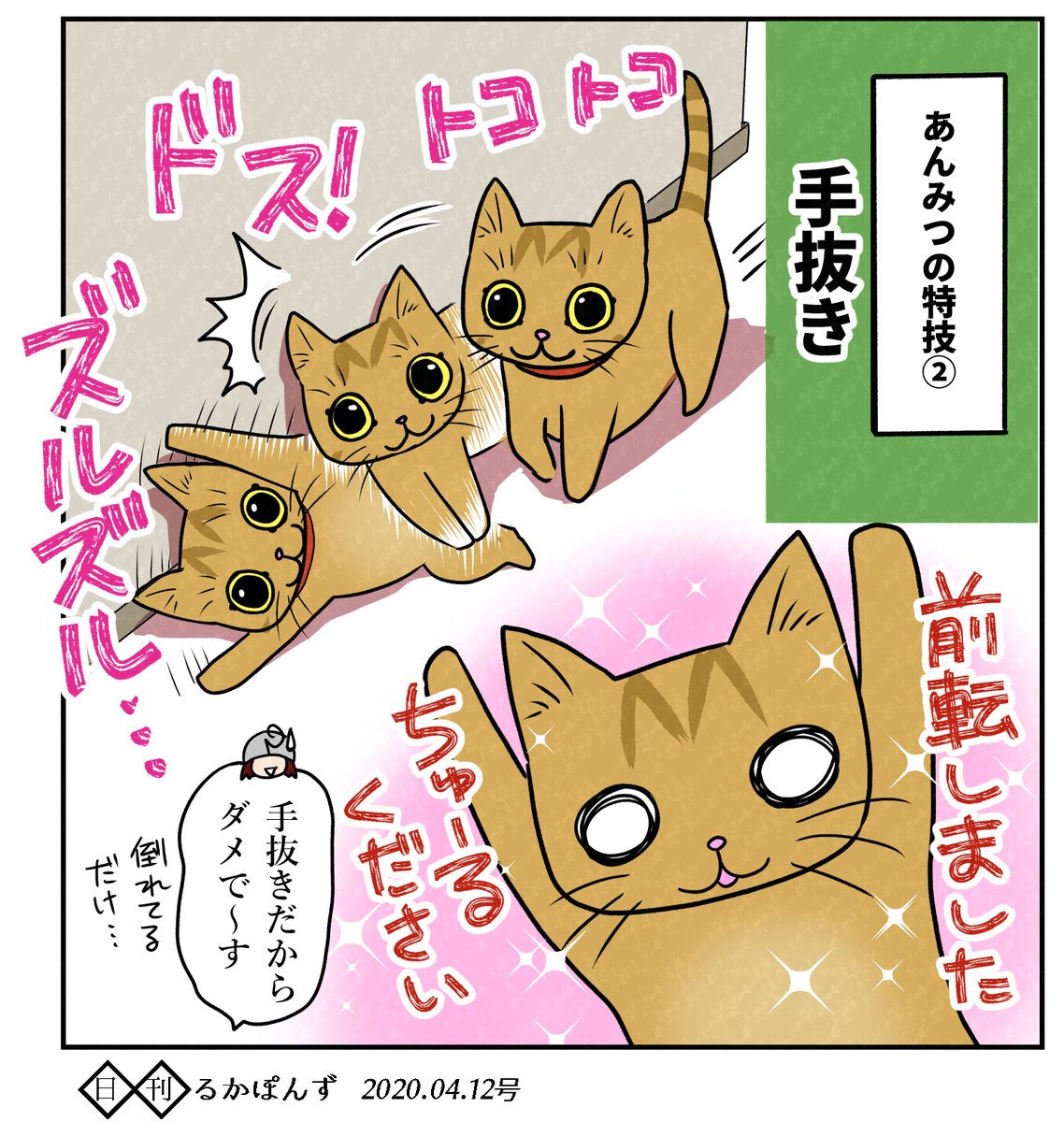 毎日更新中】 1コマ漫画、あんみつの得意技その2。 *前の日の前転とお比べください。 #保護猫3兄妹 #猫 #ねこ」るかぽん ＠C104 日曜西か06aるかぽんずの漫画