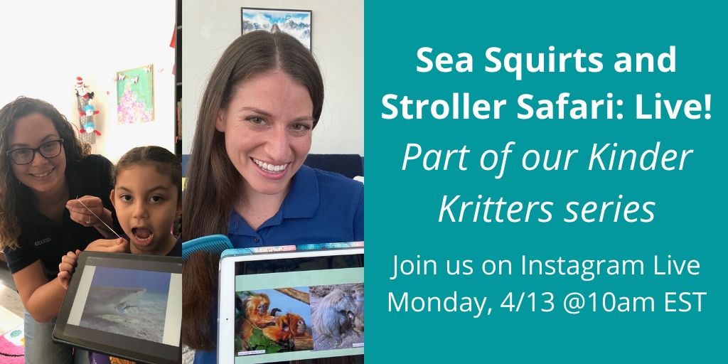 WCS Education on Twitter: "Join us for episode 3 of our Kinder Kritters series on instagram live ...