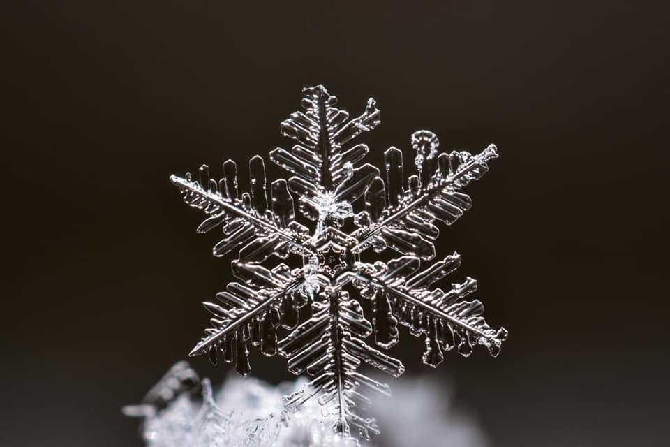Snowflake Twitter Background