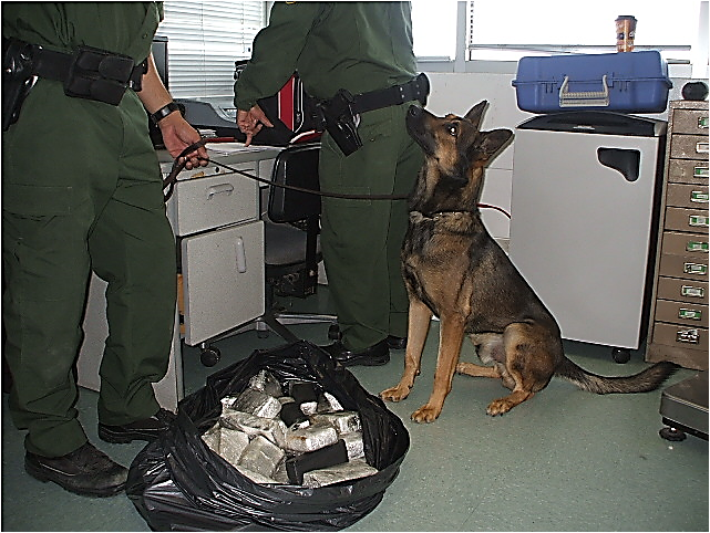 CBP on Twitter: CBP on Twitter: