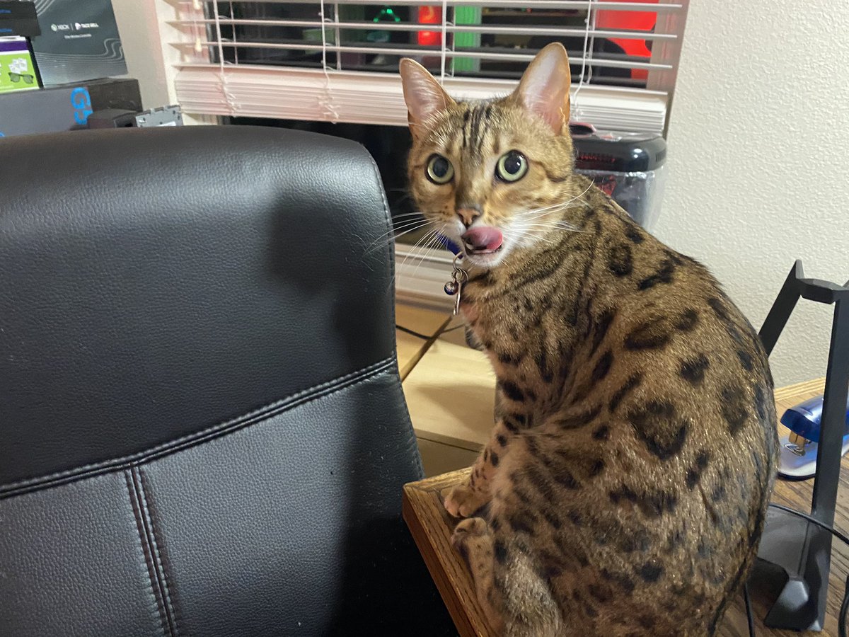 Jack Pattillo Minecraft