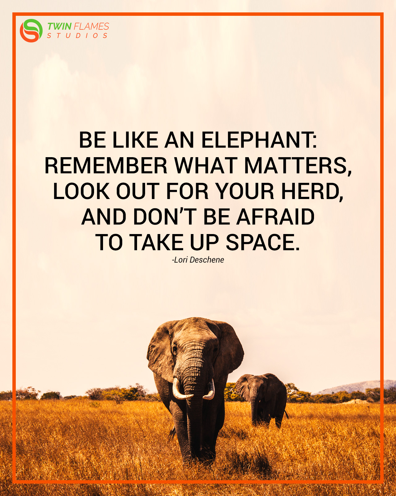 Elephant Motivation