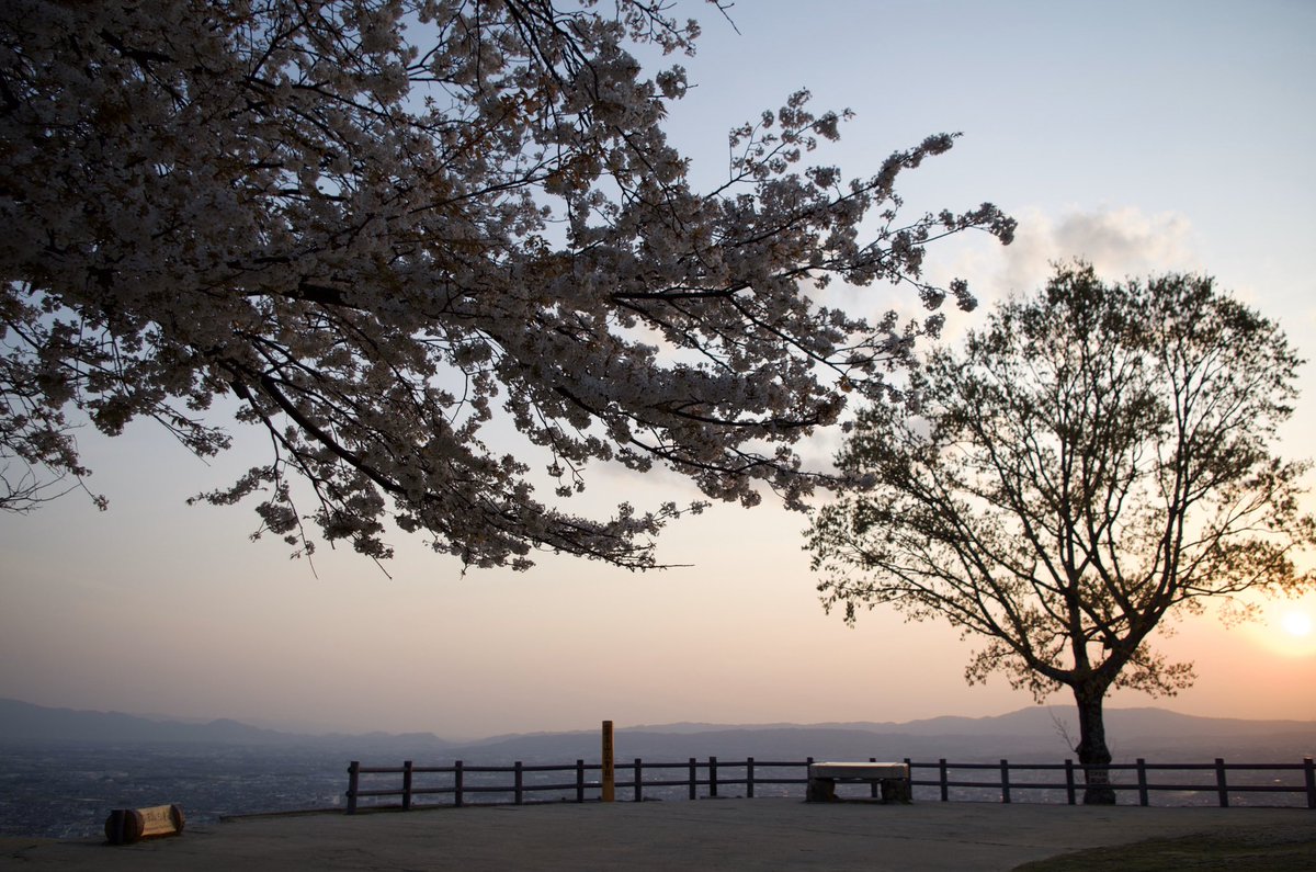 ライデル(@berry_rydell) - Twilog (ツイログ)