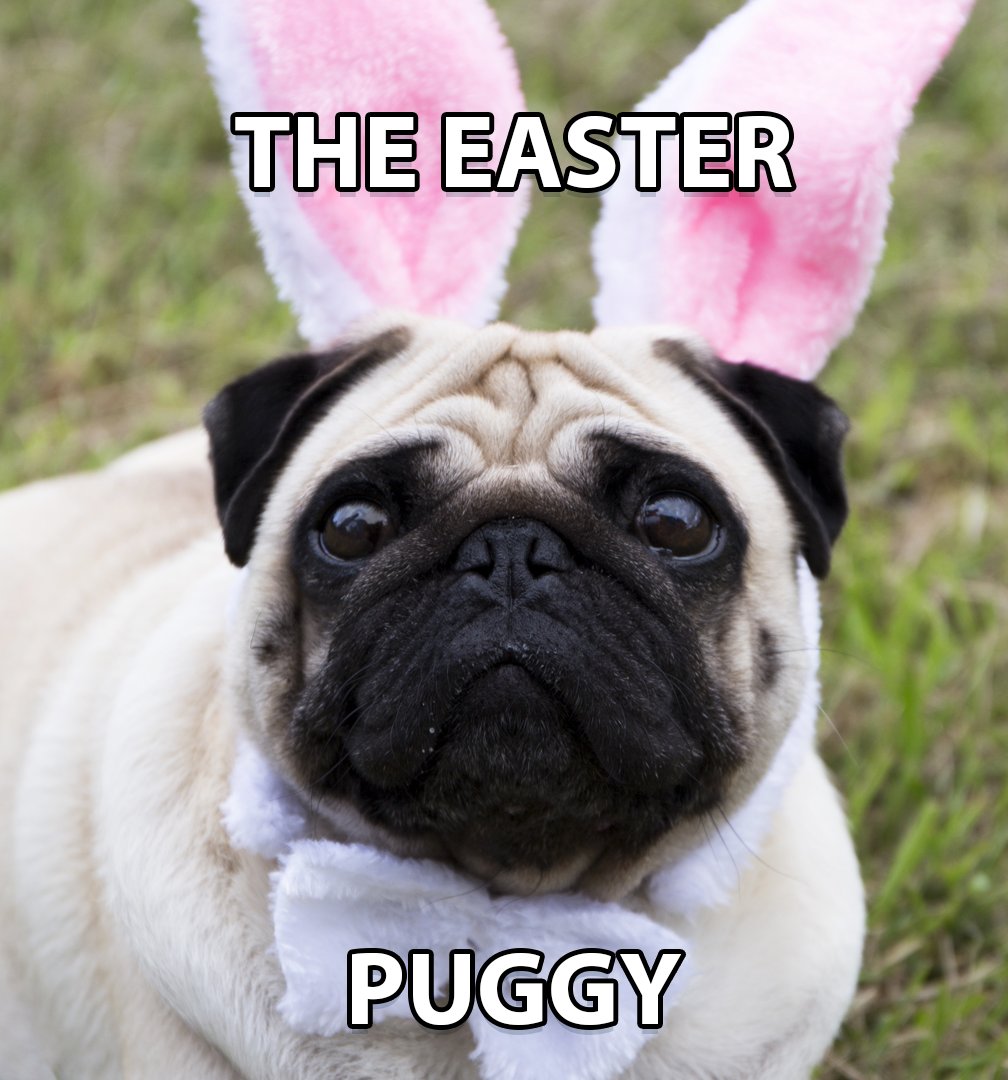 Easter Memes