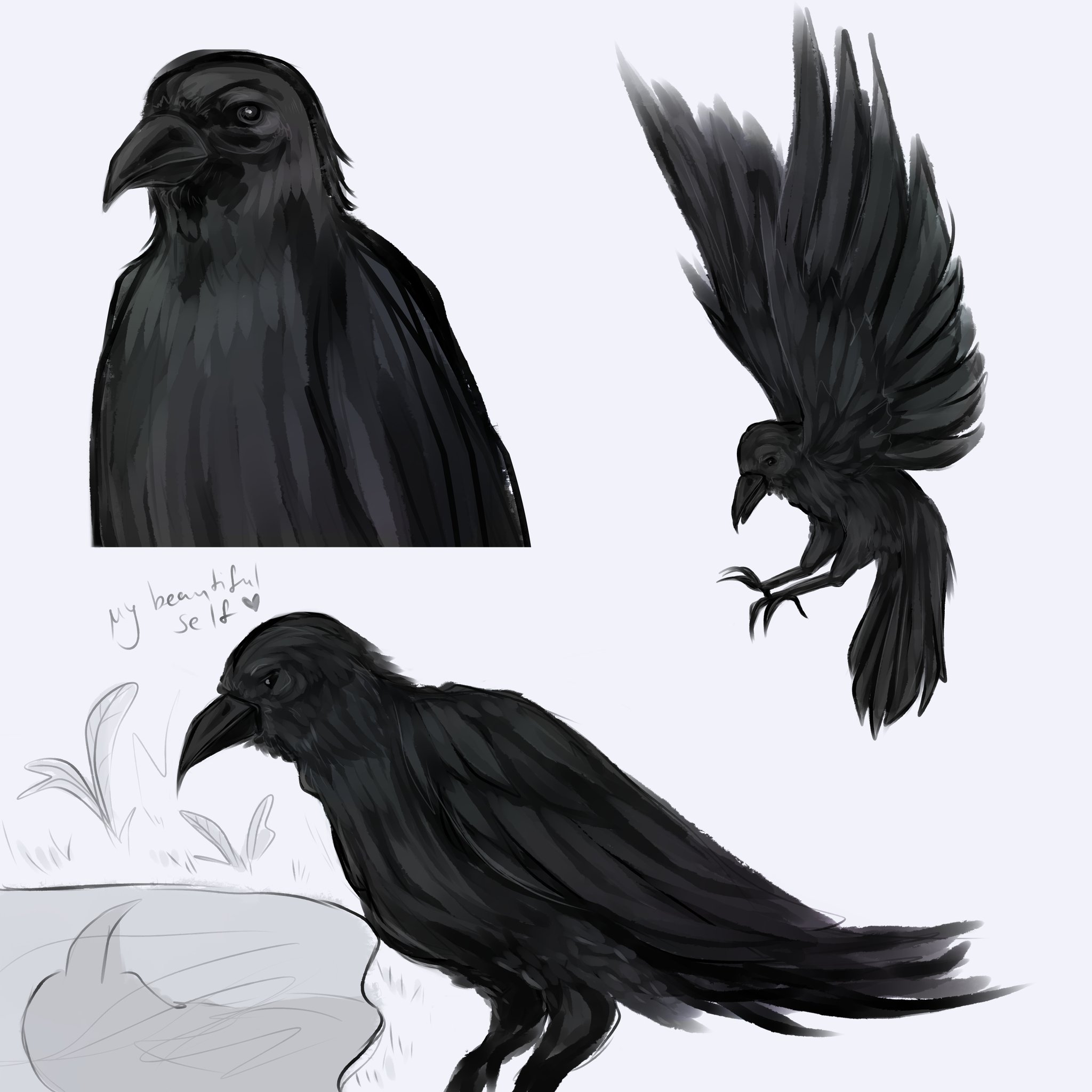 Diaval Maleficent Crow