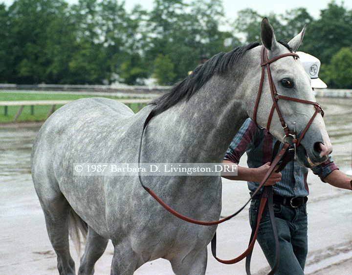 Barbara Livingston on Twitter: "I know many of you remember this bizarre 1987 day!, when ...