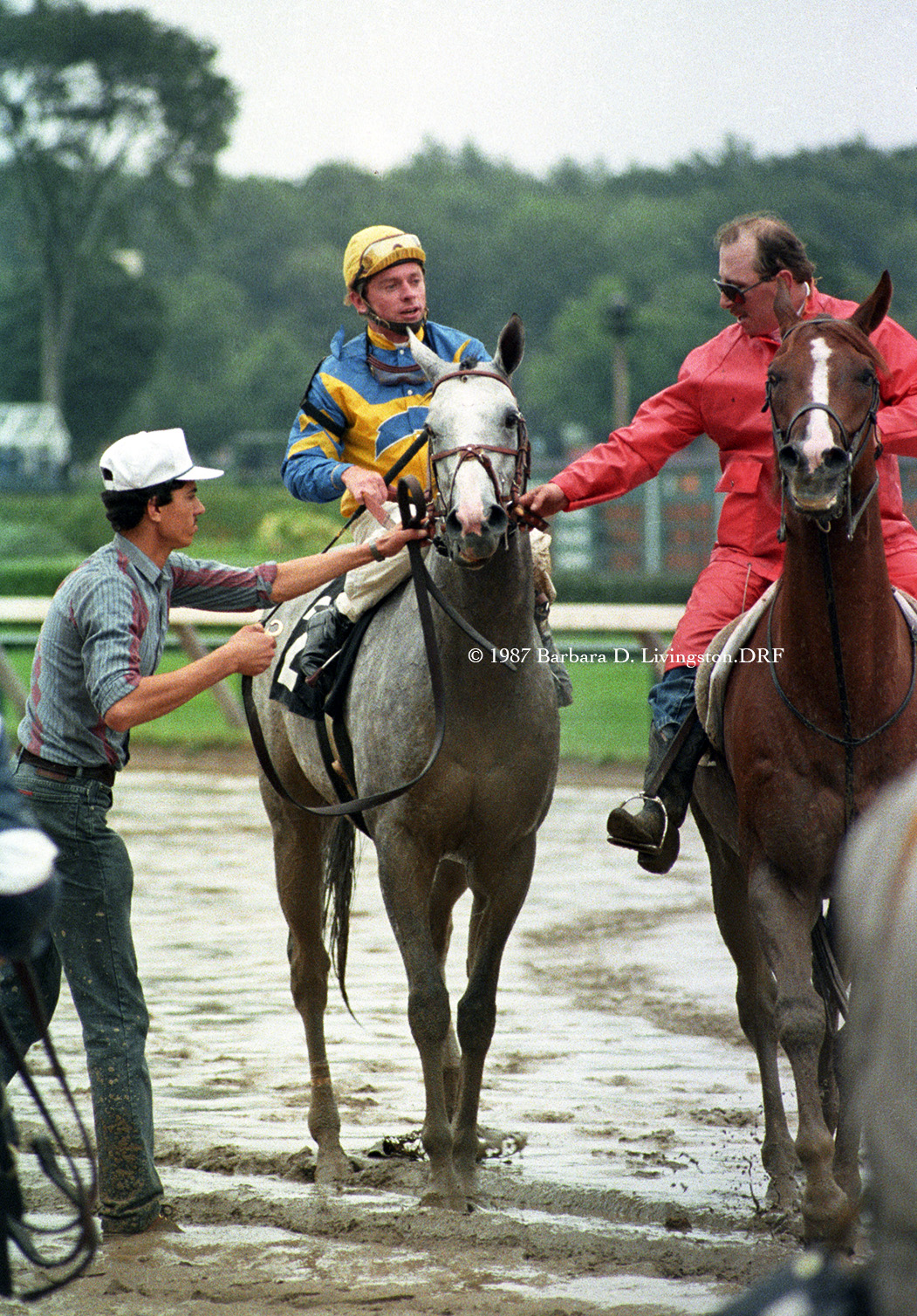 Barbara Livingston on Twitter: "I know many of you remember this bizarre 1987 day!, when ...