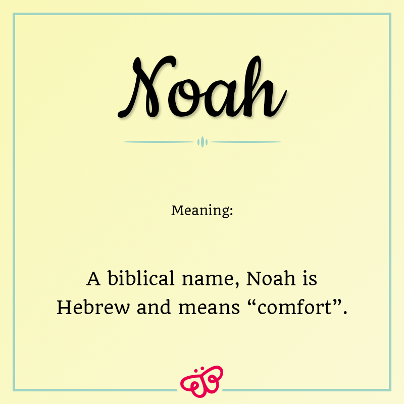 The Name Noah What Does It Mean Hotsell | telepack.co.jp