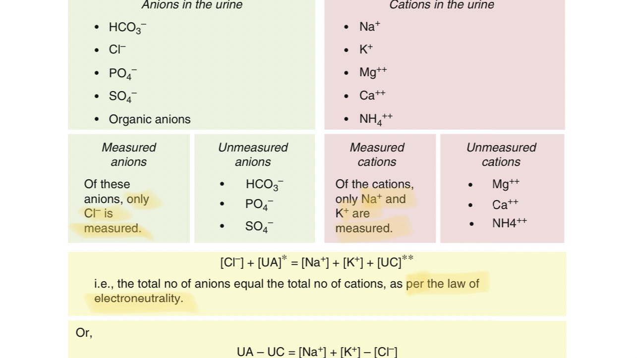 Cómo Entender Que Es El Anion Gap Urinario Tecne Y Medeos, 53% OFF