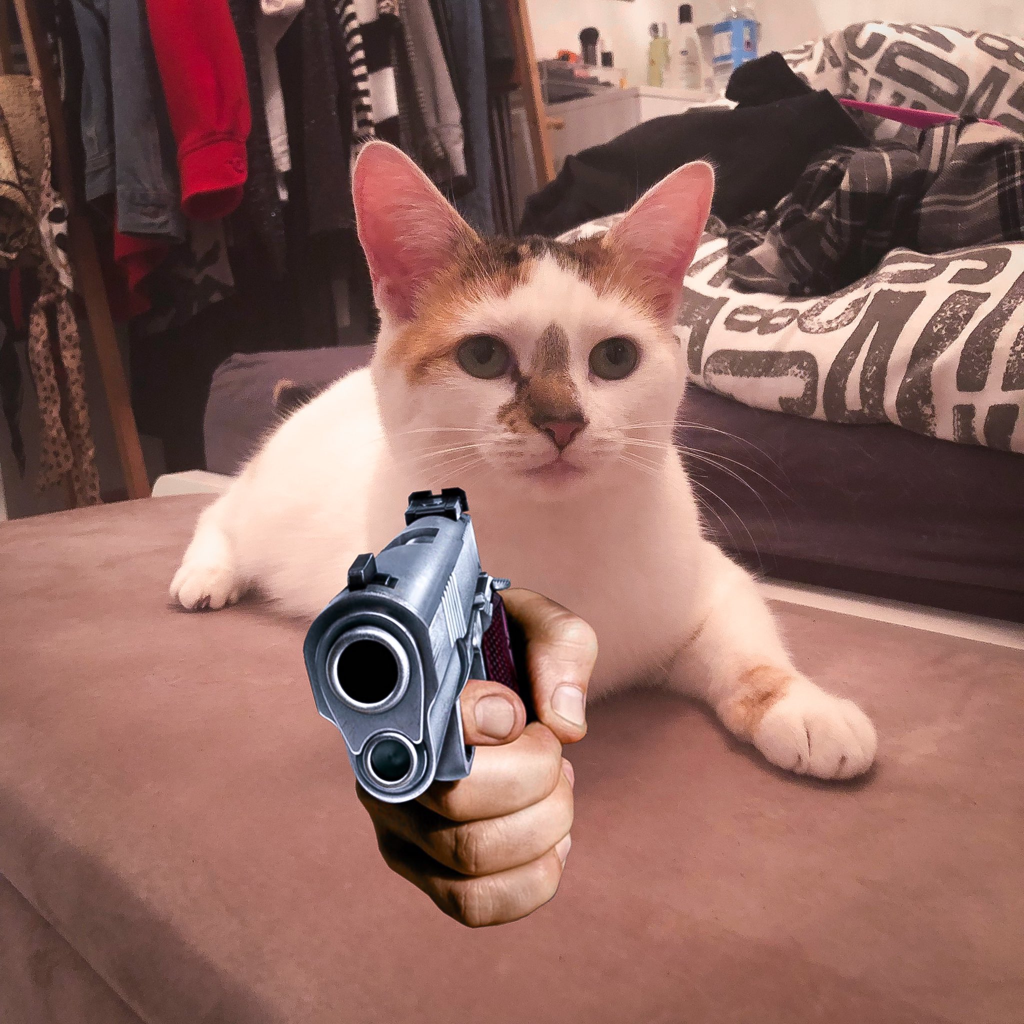 Gun Pointing Meme Hand Pointing A Gun | Know Your Meme