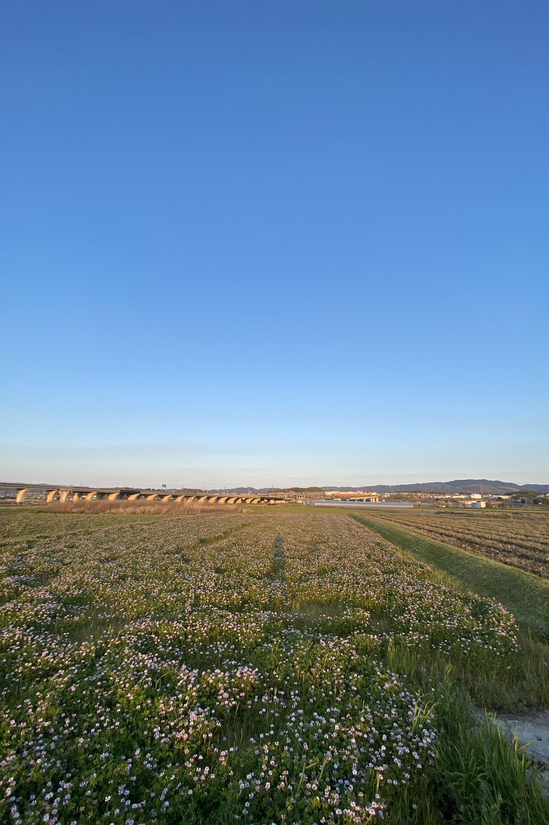 ライデル(@berry_rydell) - Twilog (ツイログ)