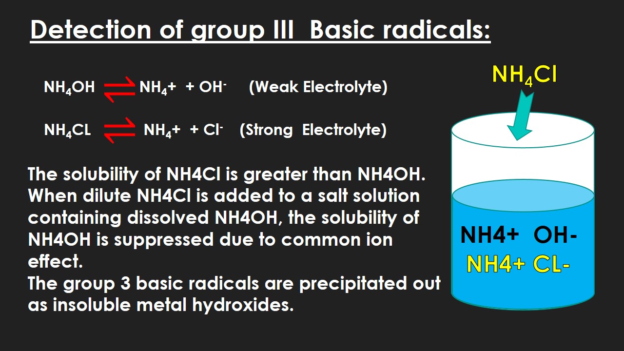 Chemical Equilibrium Animation
