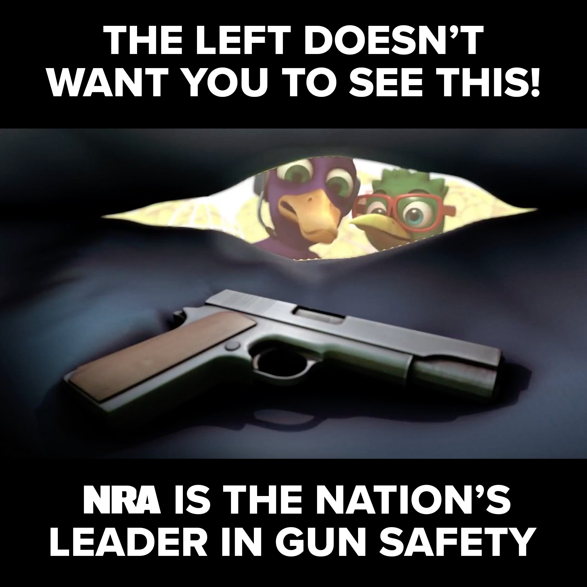 Gun Safety Meme