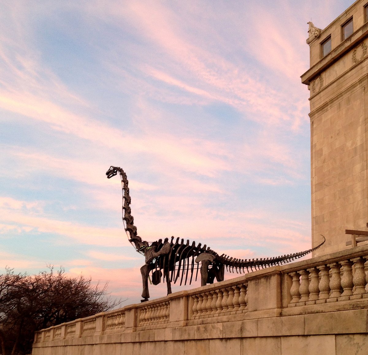 DAK - 'Encanto' and 'Indiana Jones'-themed experiences at Animal Kingdom | Page 499 | WDWMAGIC ...