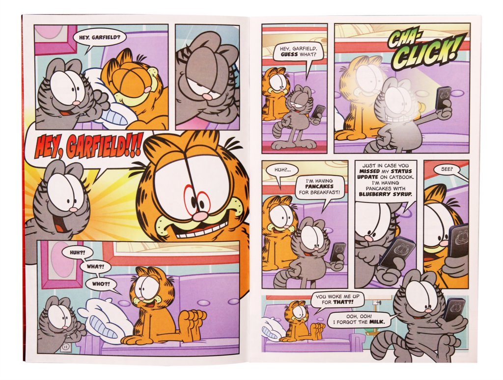 Internet Safety Comic Strip