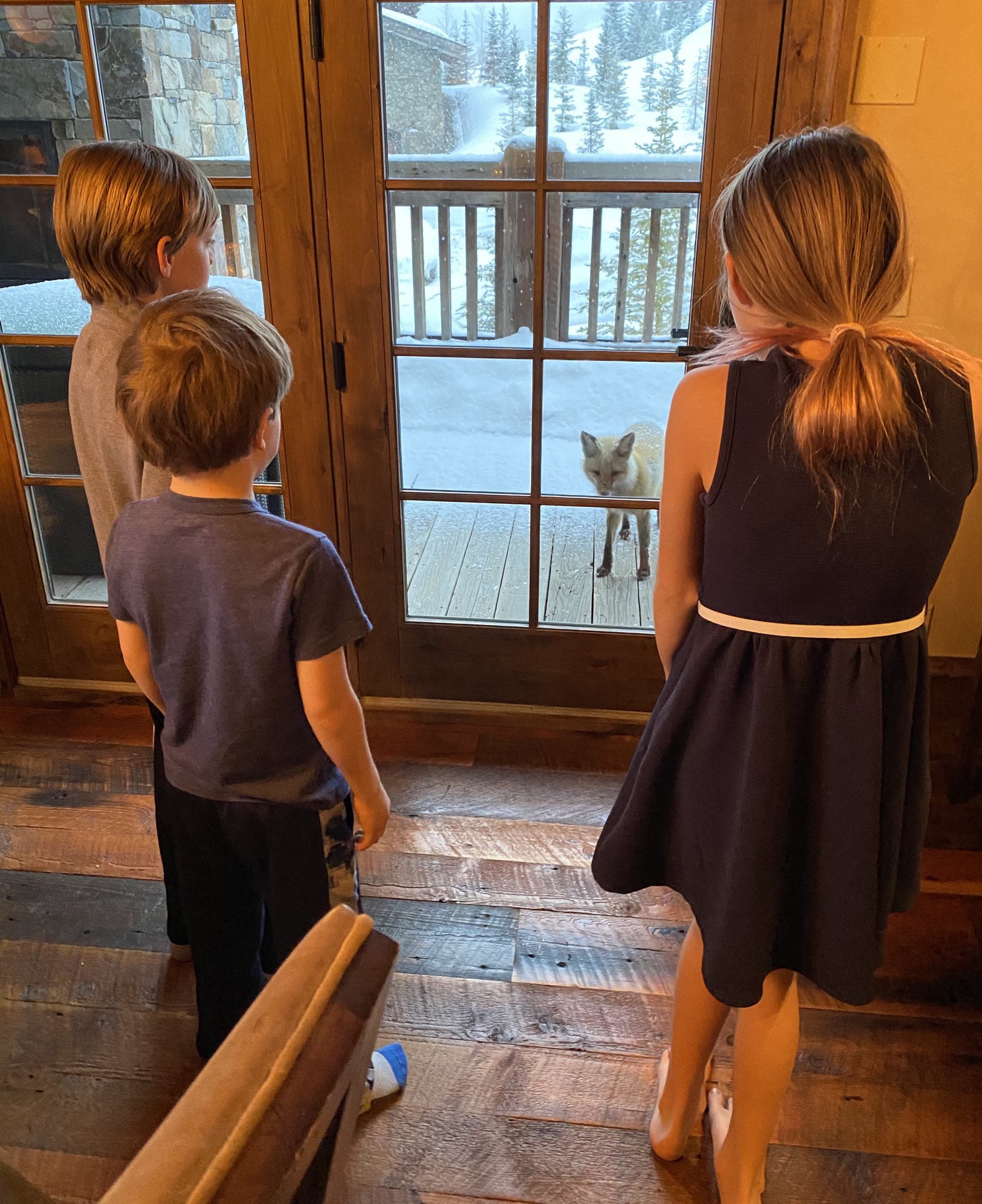 Megyn Kelly Children