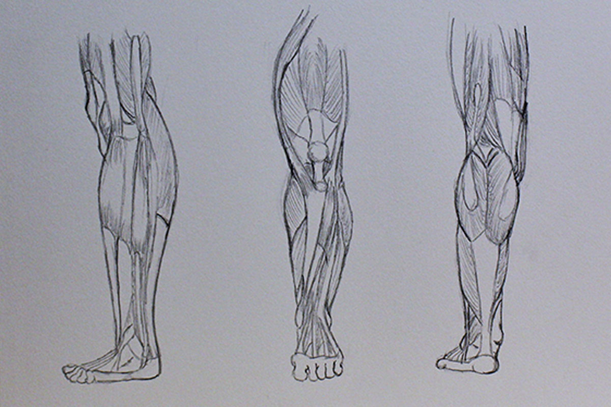 Lower Limb Drawing