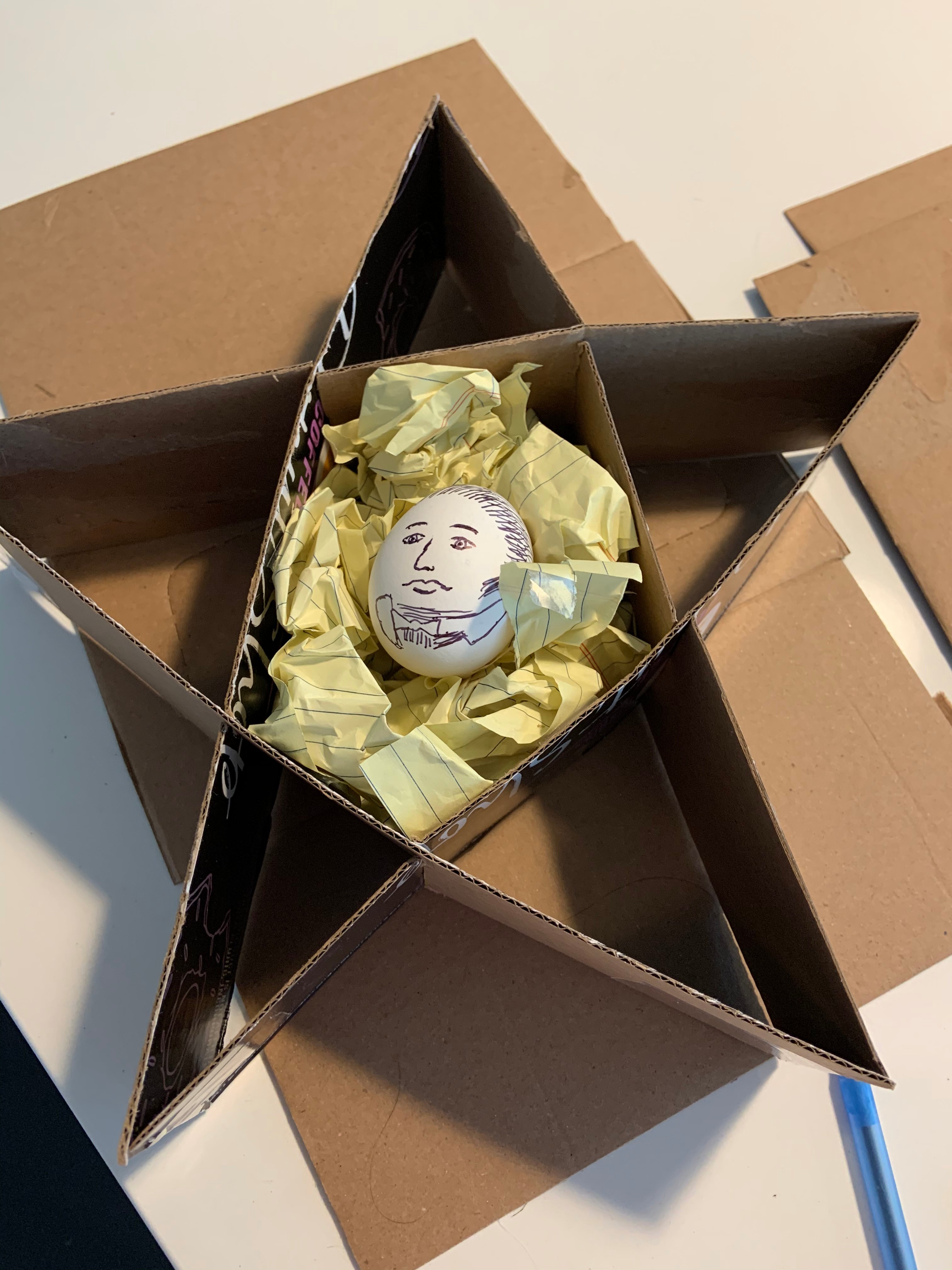 Egg Drop Project Winners