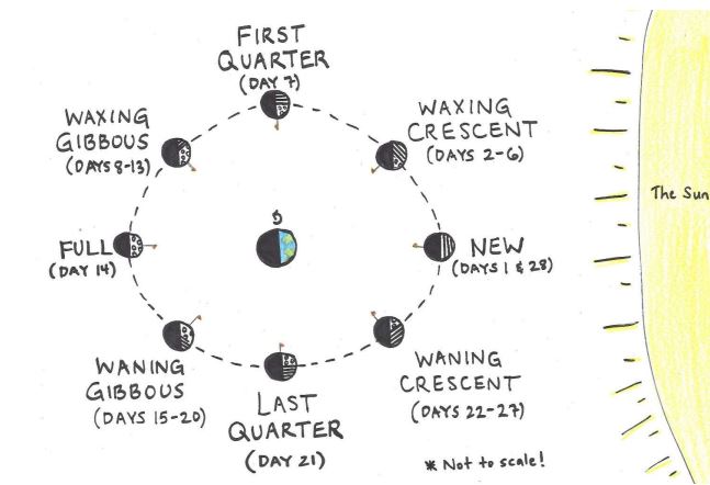 Moon Phases Diagram