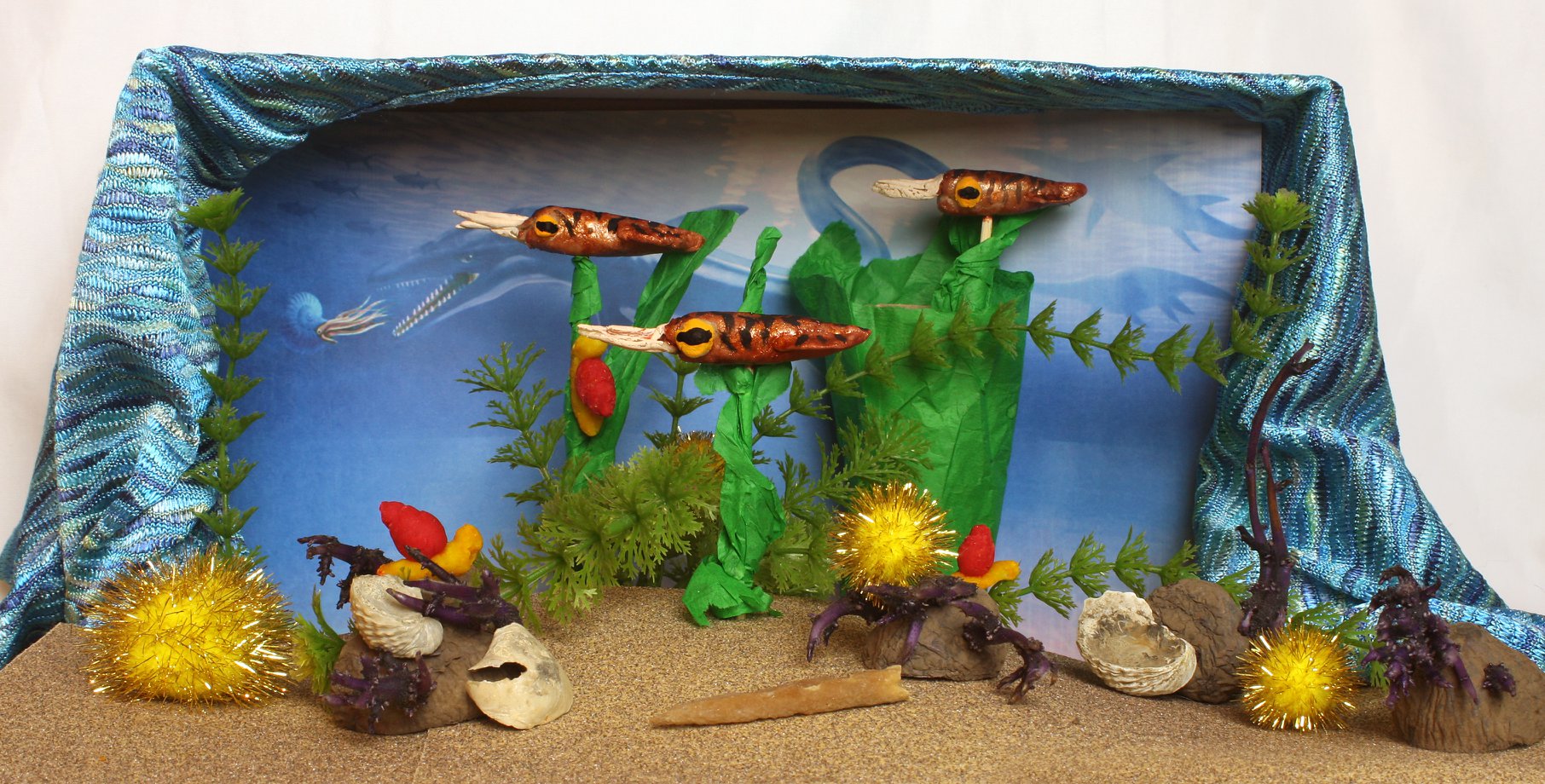 Ocean Ecosystem Diorama