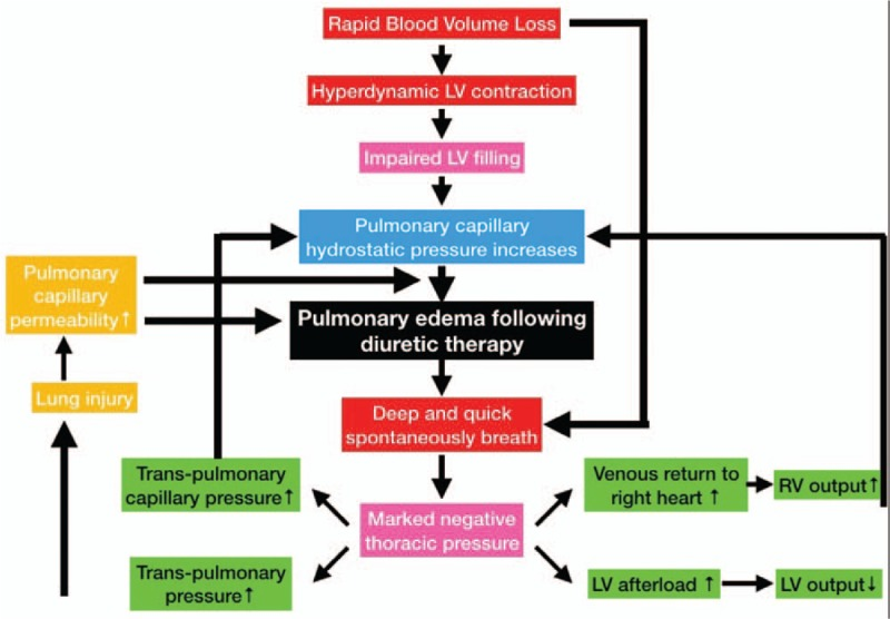 Pulmonary Edema Diagram
