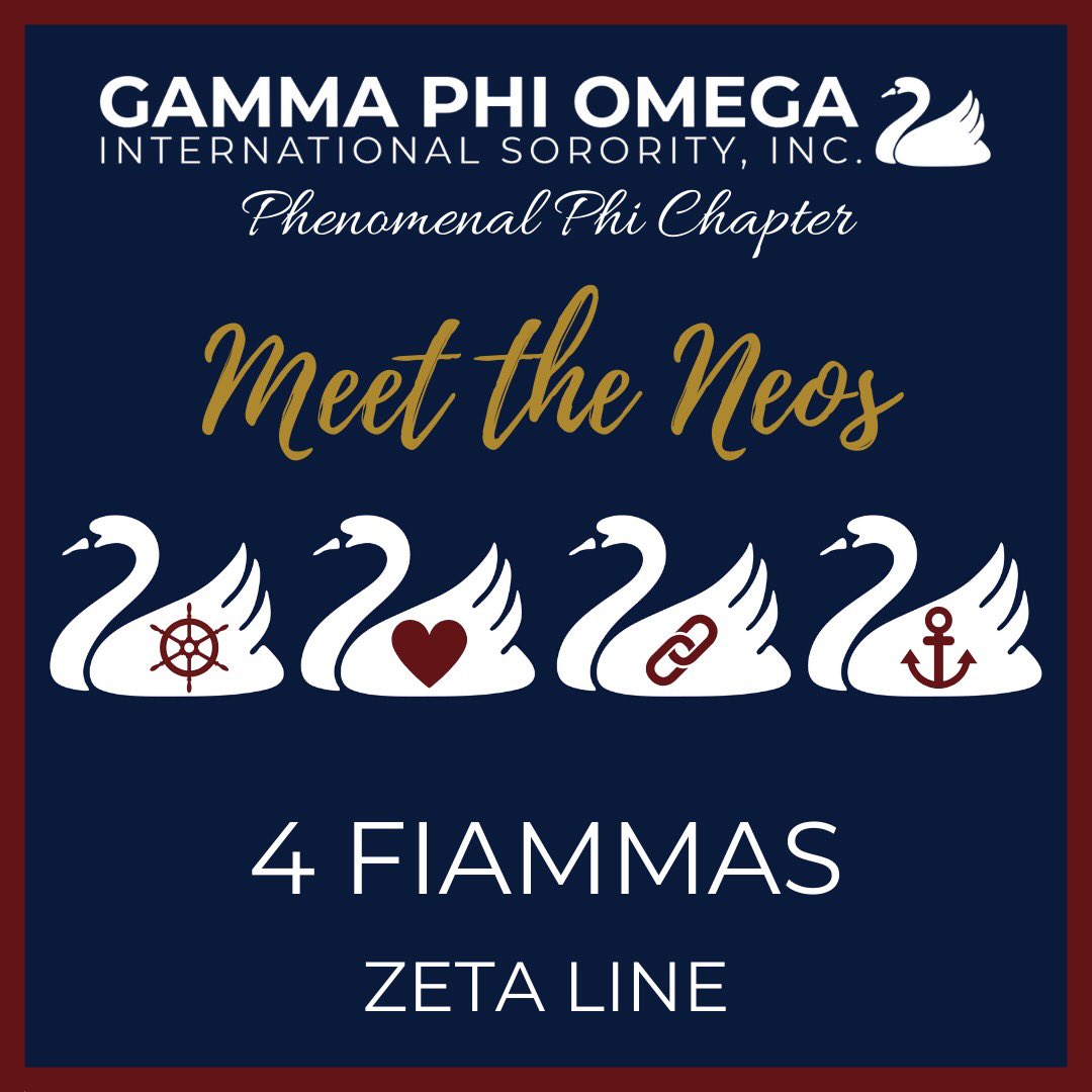 Gamma Phi Omega Gamma Phi Omega Fraternity Greek Letter Line Jacket