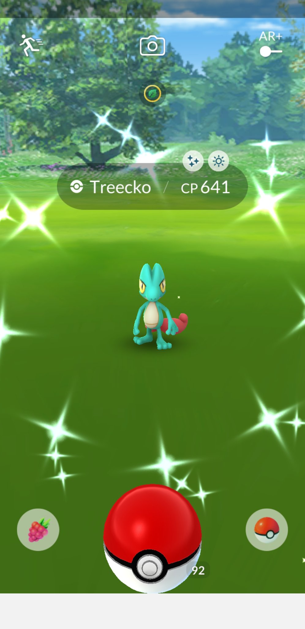 Shiny Treecko Pokemon