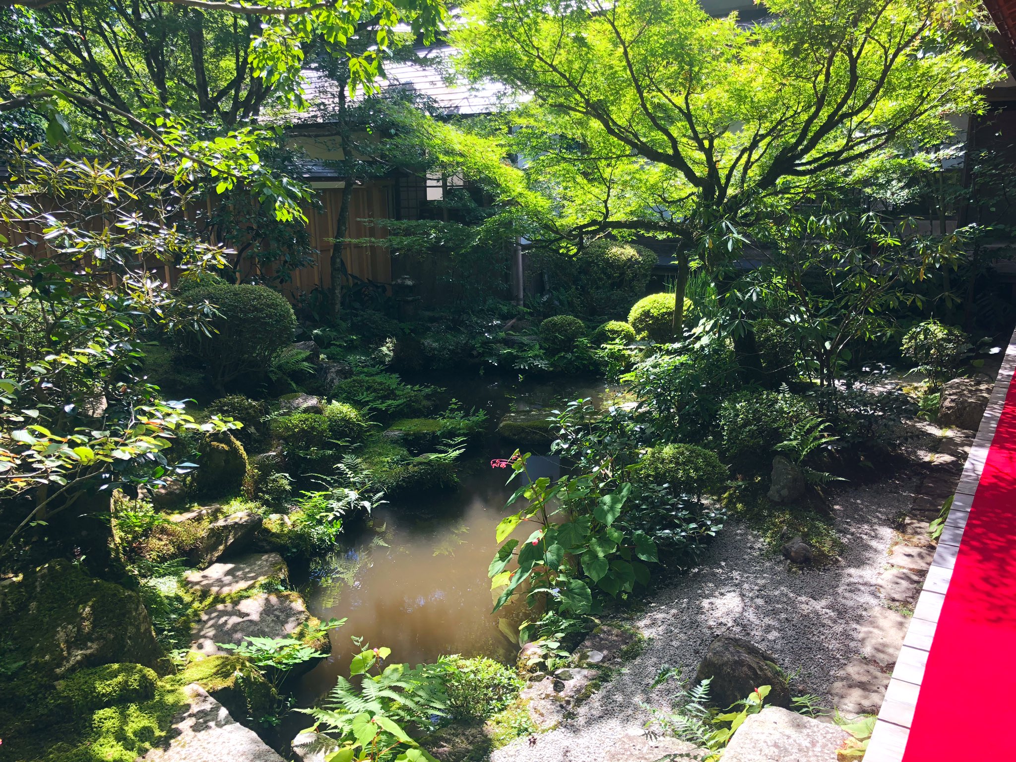 日本庭園メディア『おにわさん』中の人 On Twitter おにわさん更新情報📸／ [ 京都市左京区 ] 宝泉院庭園 Hosenin