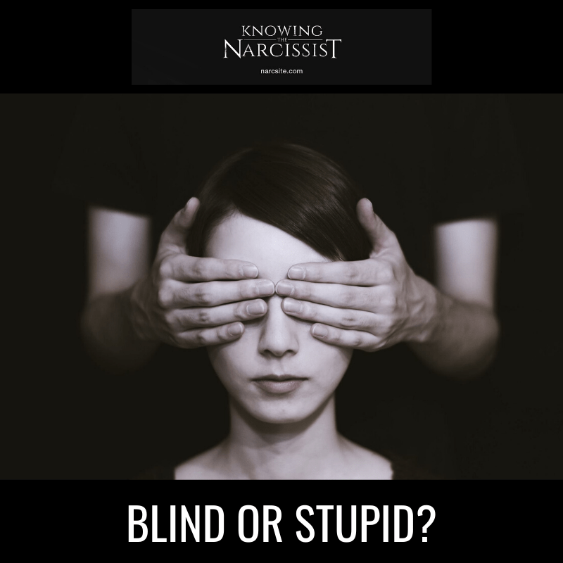 KnowingTheNarcissist On Twitter Blind Or Stupid Https t co knowingthenarcissist-on-twitter-blind-or-stupid-https-t-co