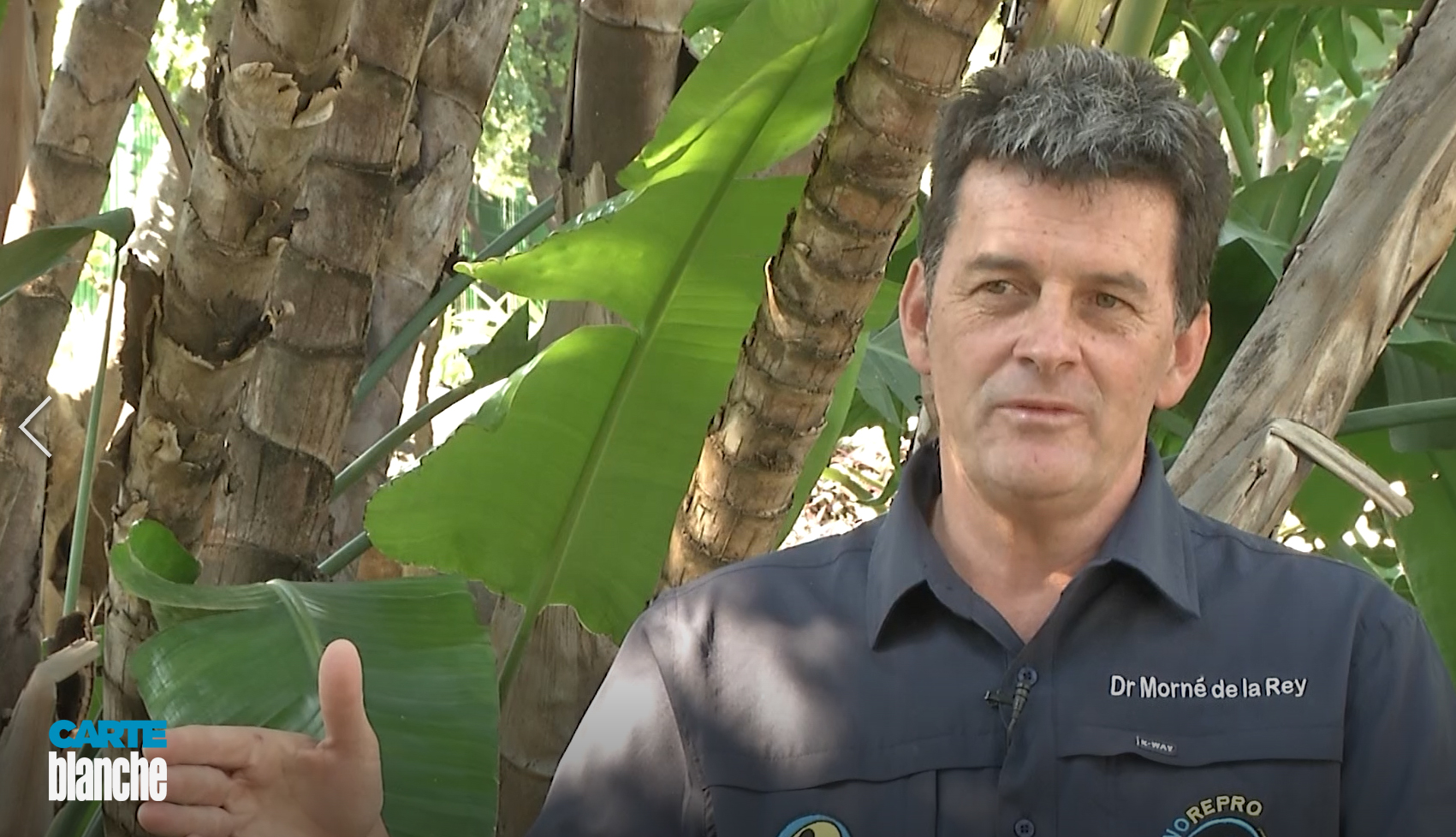 Carte Blanche on Twitter: "#Rhino IVF can be compared to finding a needle in a haystack – says ...