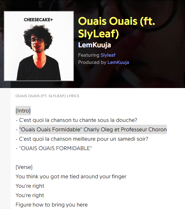 Formidable Lyrics 0008