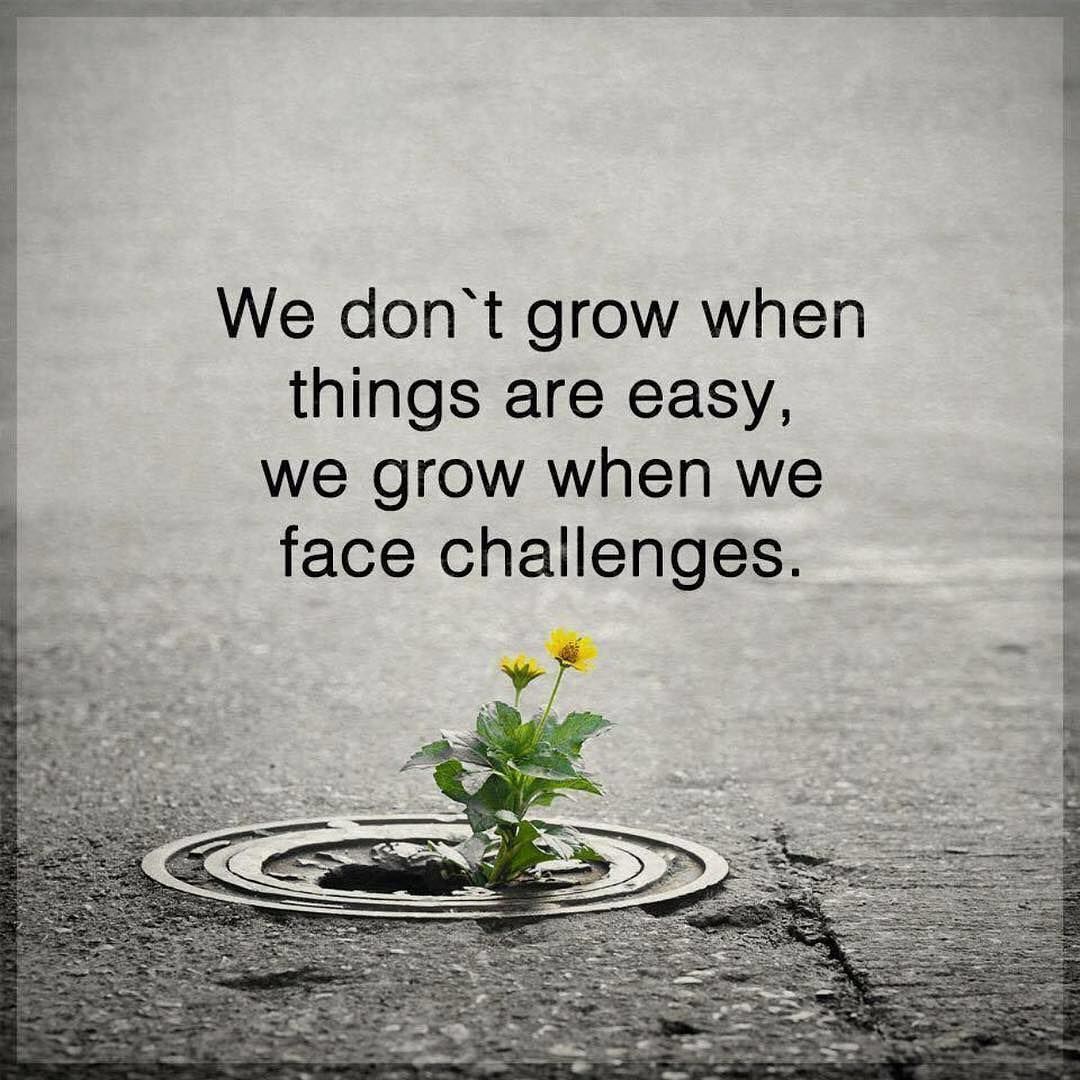 Facing Challenges In Life Quotes