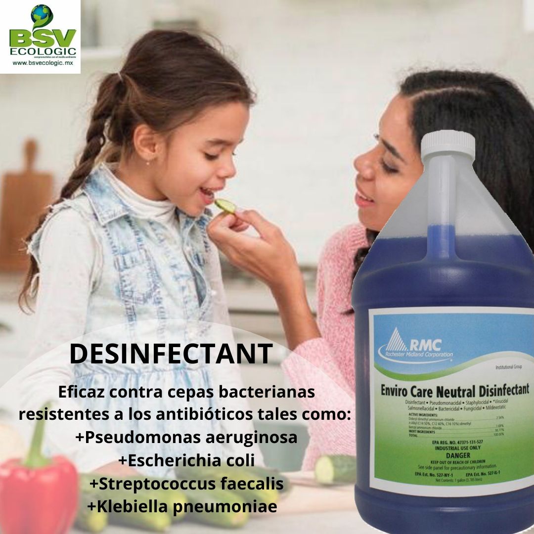 BSV Ecologic (@bsv_ecologic) | Twitter