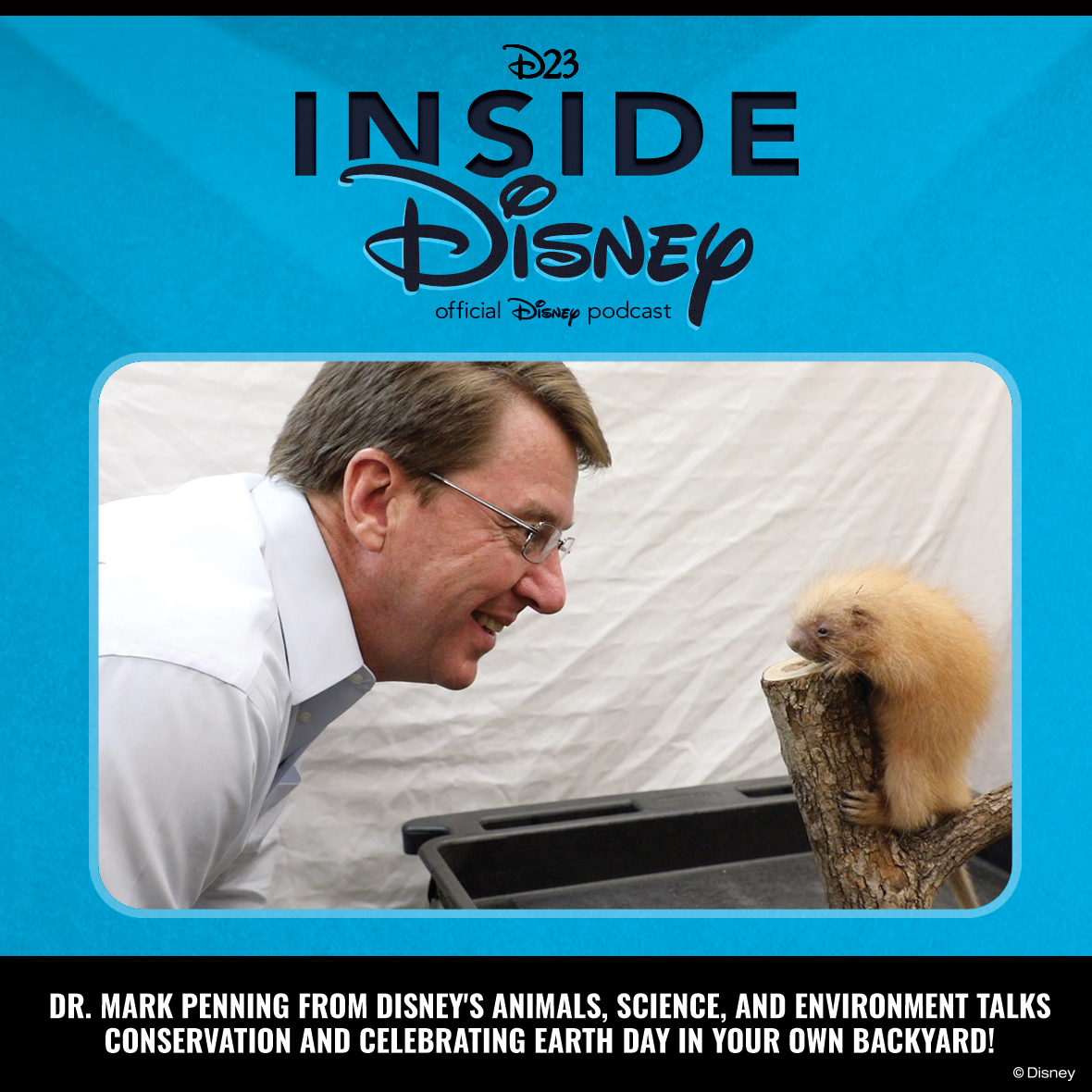 Mark Penning's Instagram, Twitter & Facebook on IDCrawl