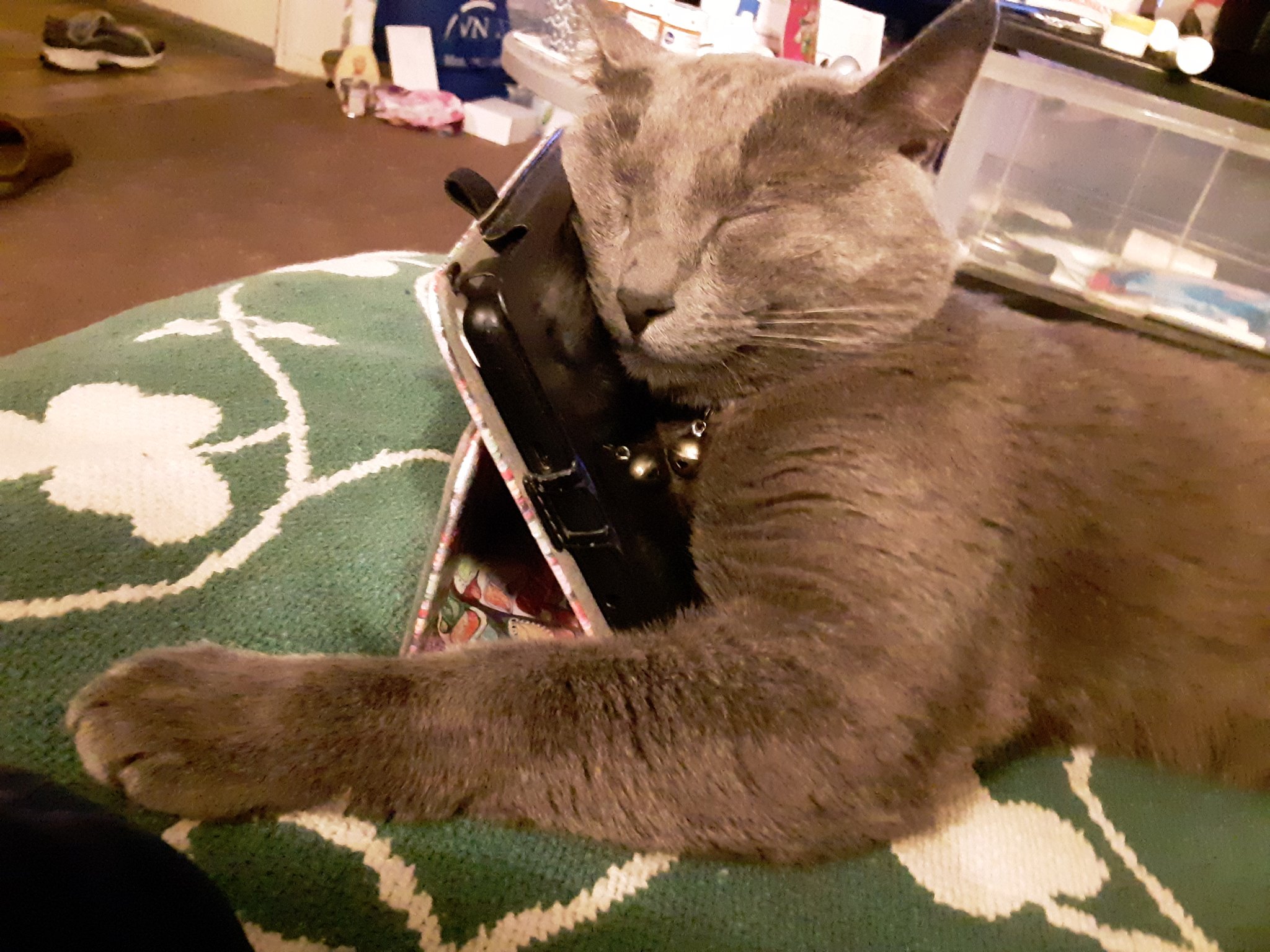 Cat Wallpaper For Kindle